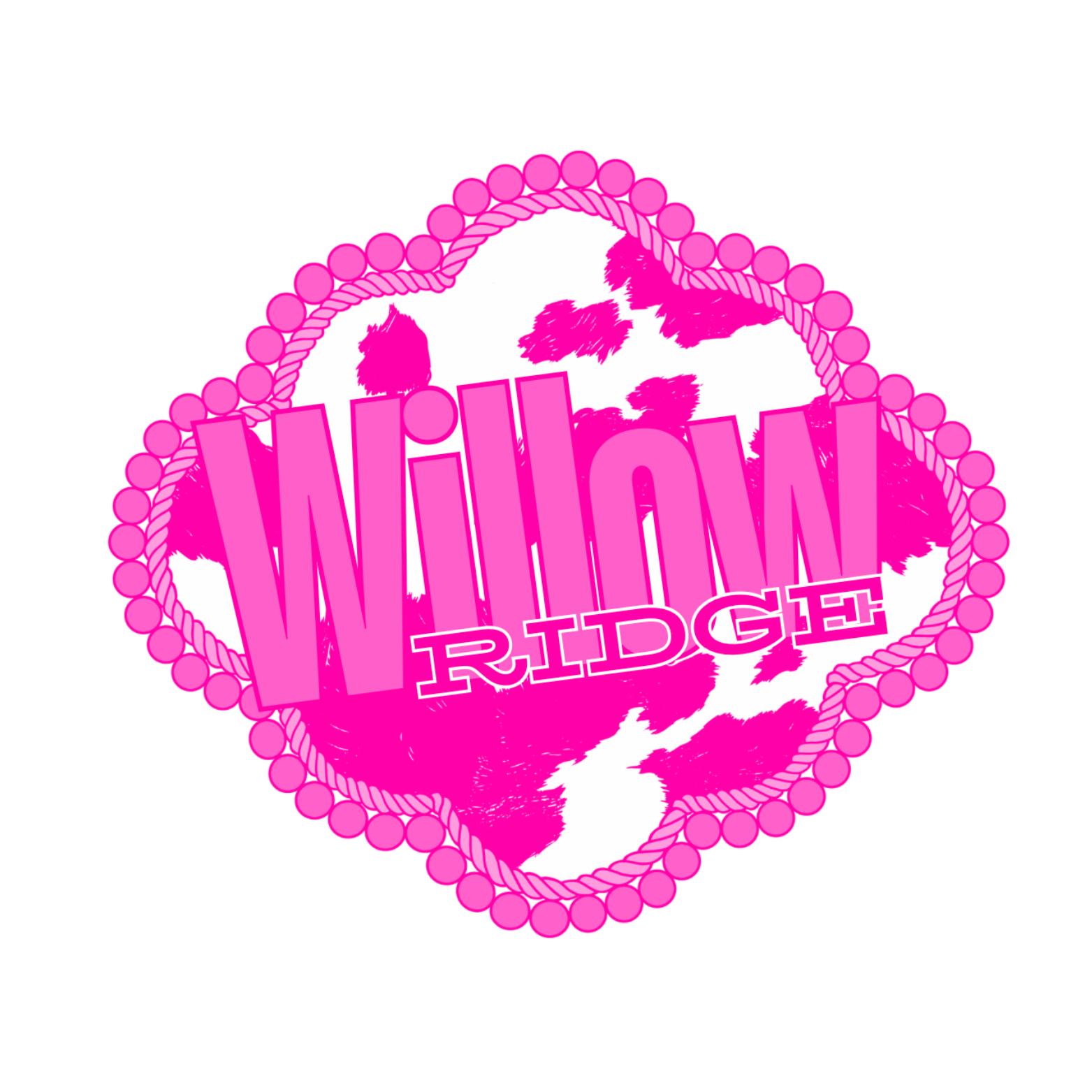 Western Beads – Shop Willow Ridge